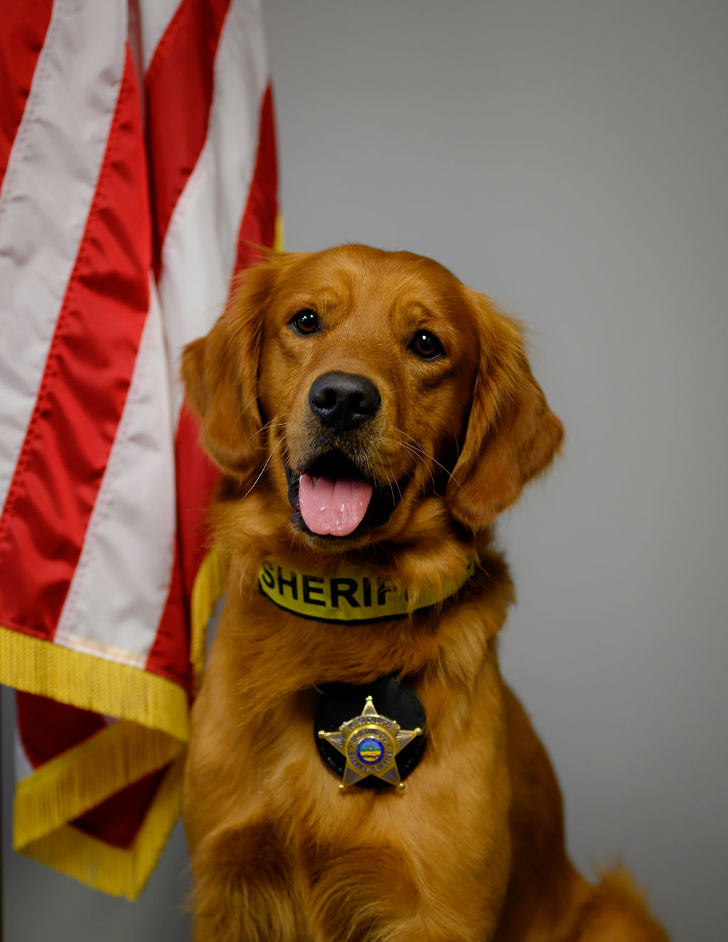 Road Patrol Division | Paulding County Sheriff