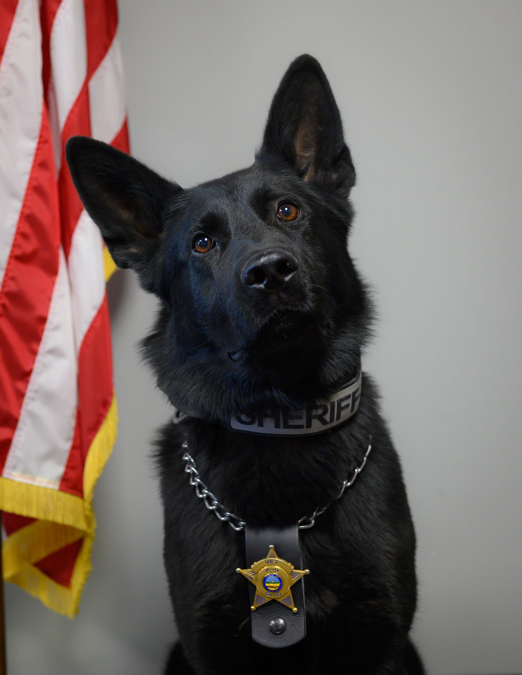 Road Patrol Division | Paulding County Sheriff